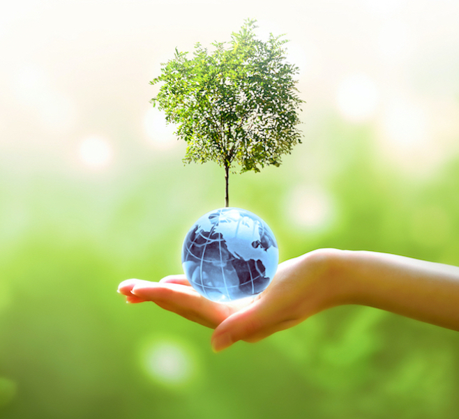 Green energy small - Total Energy Solutions